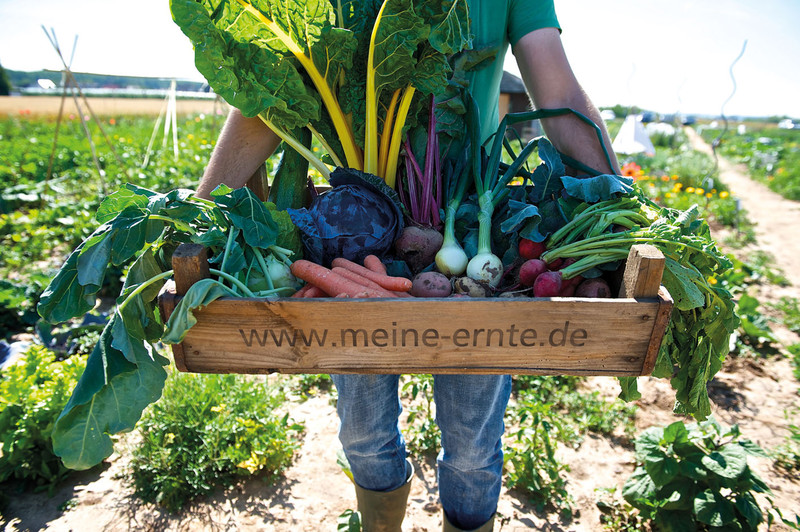 meine ernte: Der einfachste Weg zum Gemüsegarten - deutschlandweit