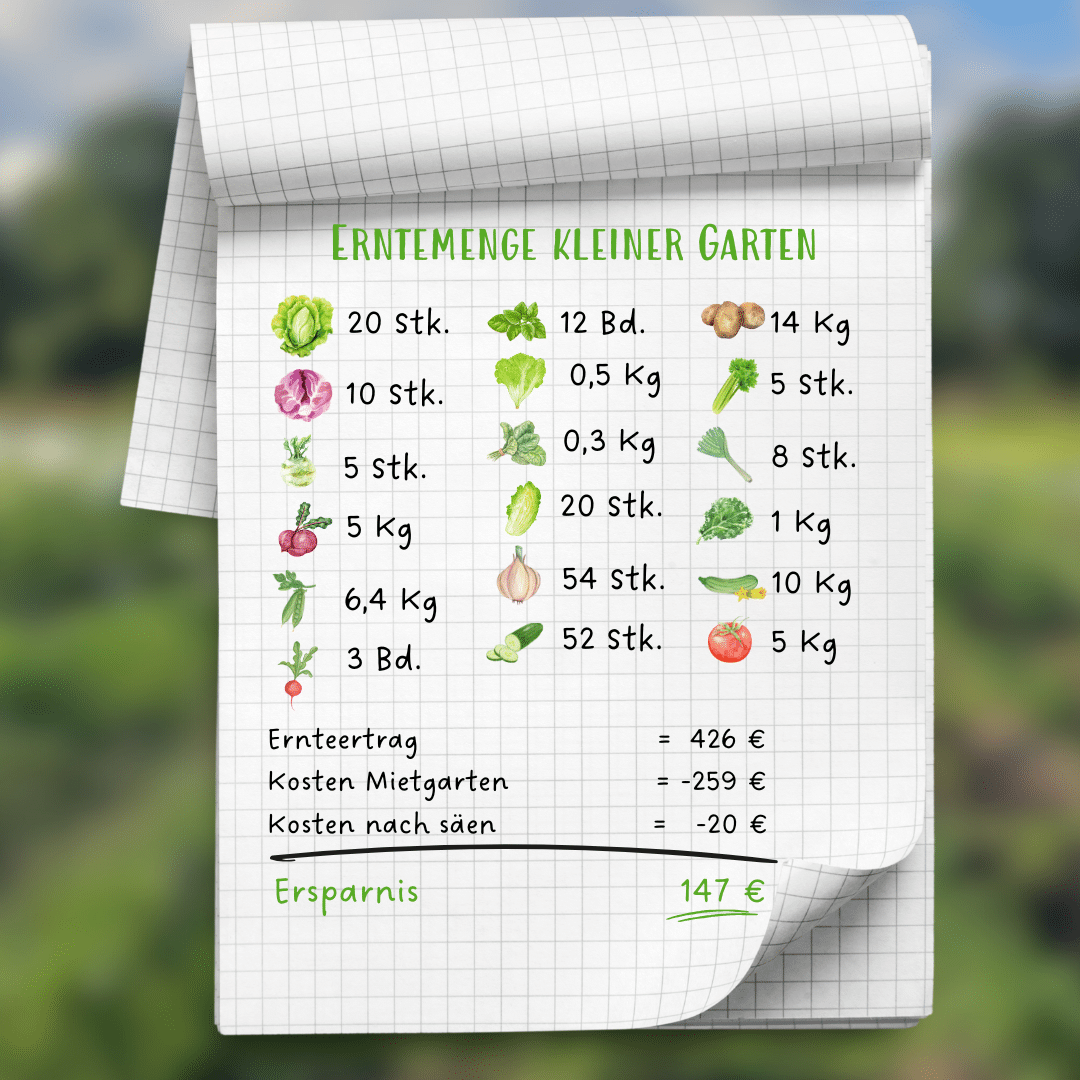 Wieviel Ertrag bringt dein meine ernte Garten? - meine ernte Shop