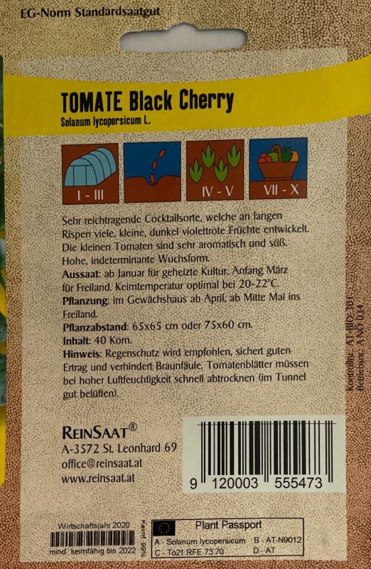 Tomate Black Cherry2 - meine-ernte.de